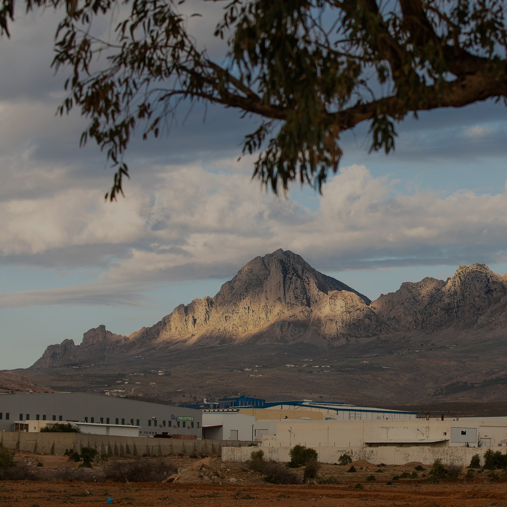 Action 6 - CONSUMING LESS AND BETTER