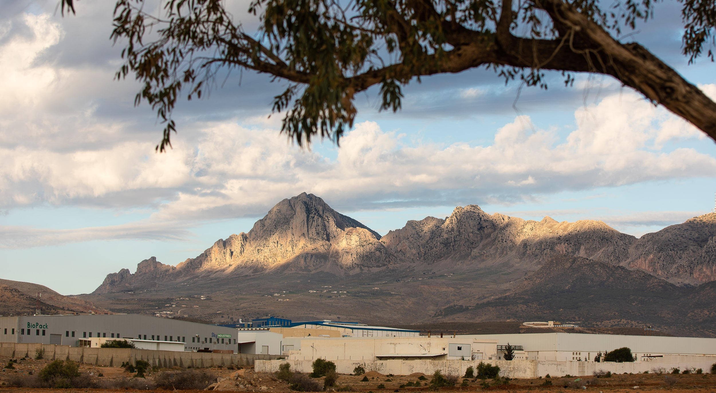 Welcome to the Somfy Group website